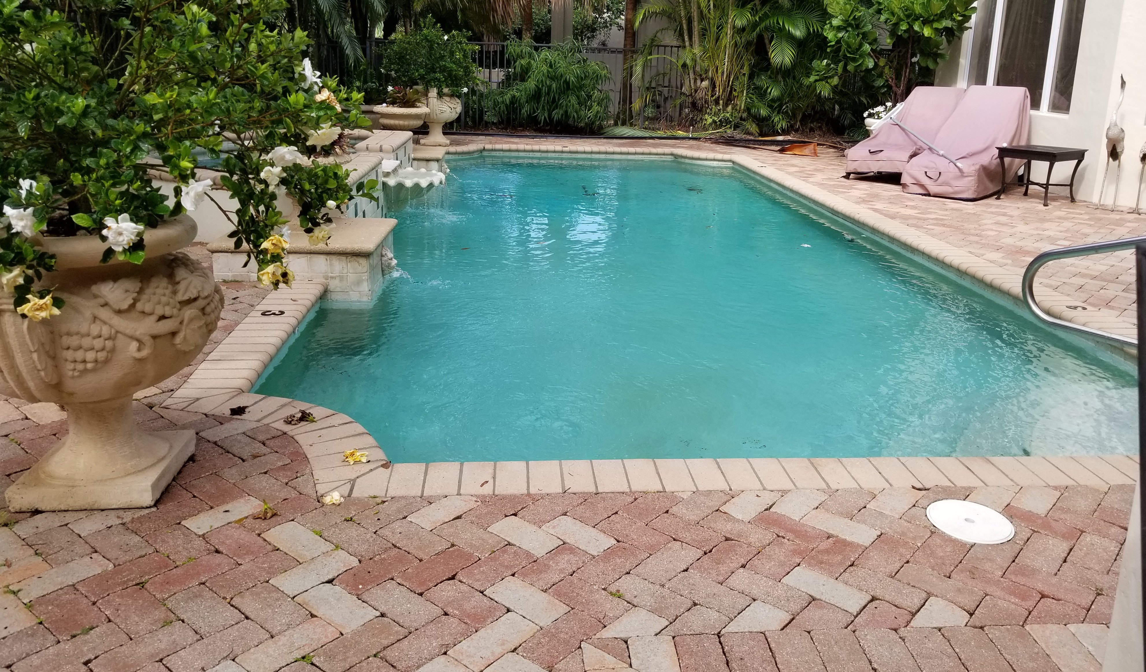 Top FAQs Answered by South Florida’s Leading Pool Builder
